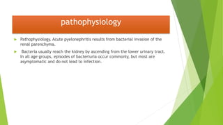 kidney infection ( pyelonephritis).pptx