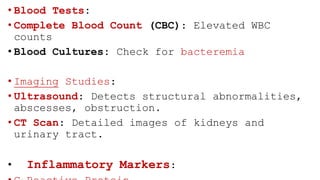 kidney infections(pyelonephritis)_surgery and medicine. | PPT