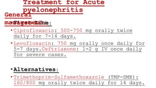 kidney infections(pyelonephritis)_surgery and medicine. | PPT