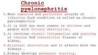 kidney infections(pyelonephritis)_surgery and medicine. | PPT