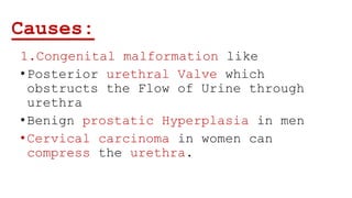 kidney infections(pyelonephritis)_surgery and medicine. | PPTX