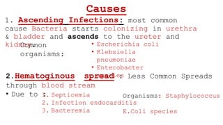 kidney infections(pyelonephritis)_surgery and medicine. | PPT