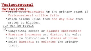 kidney infections(pyelonephritis)_surgery and medicine. | PPT