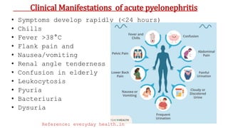 kidney infections(pyelonephritis)_surgery and medicine. | PPT