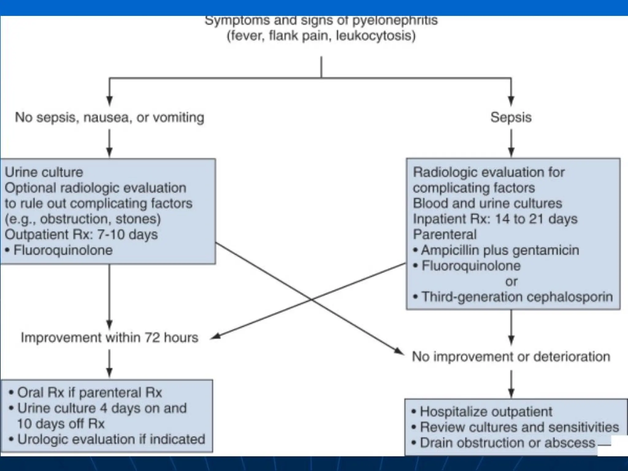 Kidney infections ppt.pdf acute and chronic...kidney abscess...renal ...
