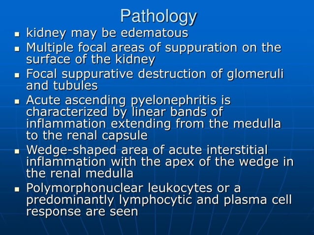 Kidney infections ppt.pdf acute and chronic...kidney abscess...renal ...