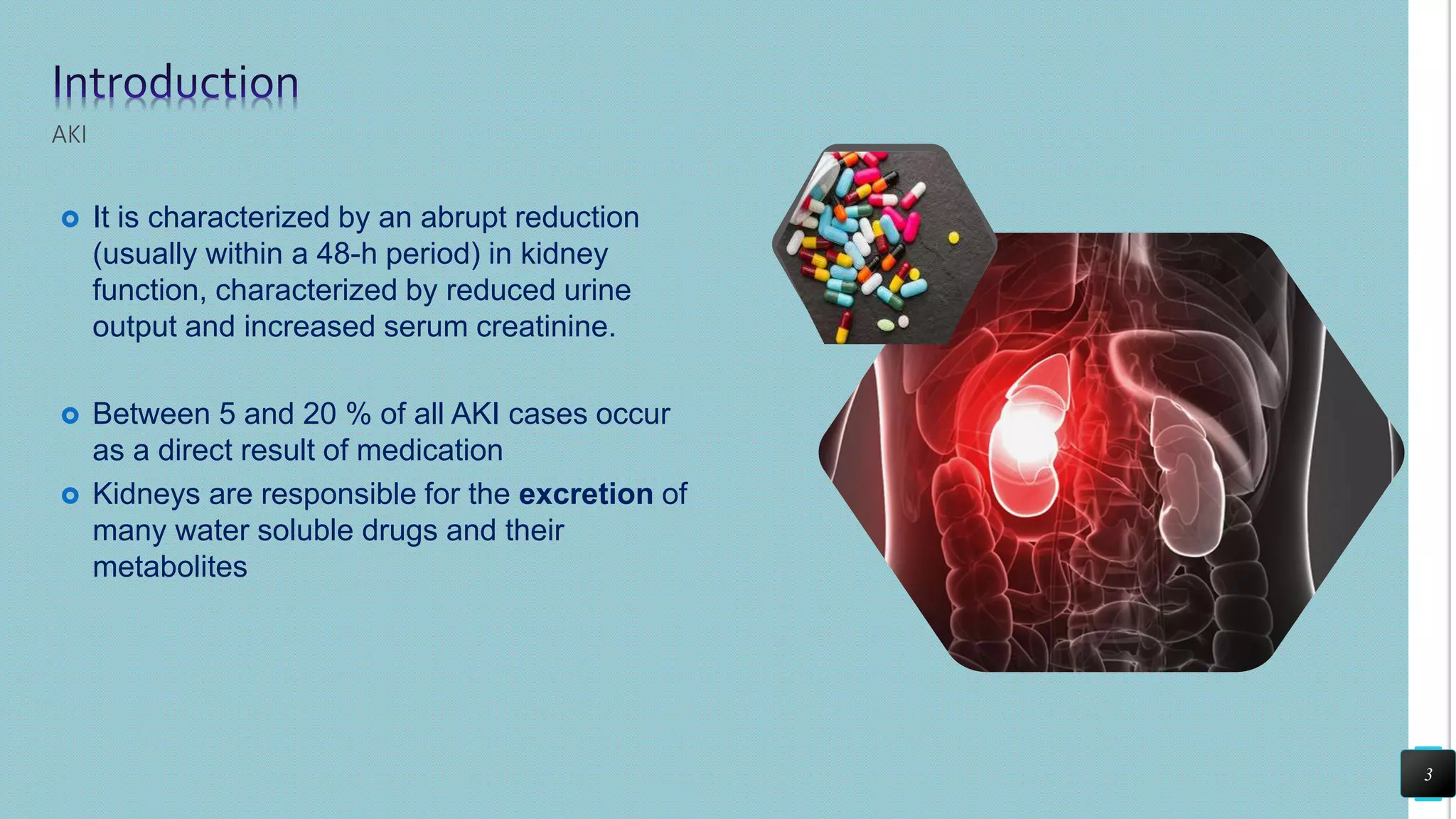 drug induced Kidney injury | PPTX