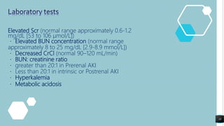 drug induced Kidney injury | PPTX