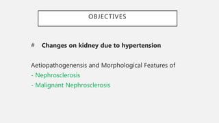 Nephrosclerosis | PPTX