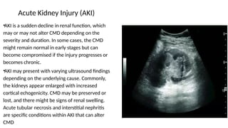 KIDNEY PATHOLOGIES.pptx BY NNADI NGOZI T | PPTX