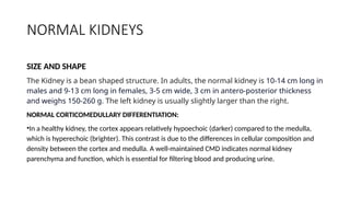 KIDNEY PATHOLOGIES.pptx BY NNADI NGOZI T | PPTX