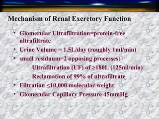 Renal Pathophysiology | PPT
