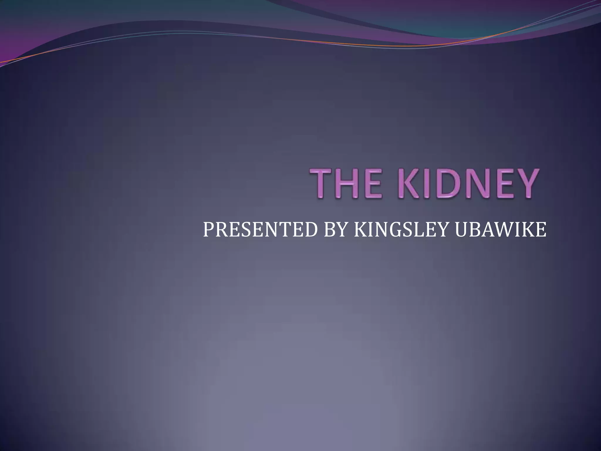 Kidney Power Point Presentation | PPTX