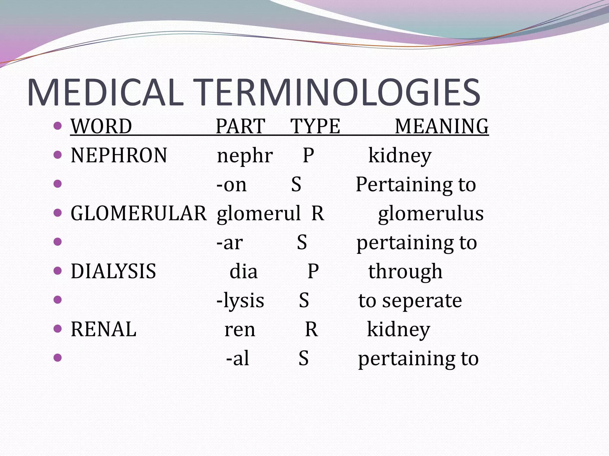 Kidney Power Point Presentation | PPTX