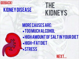 Kidneys Presentation | PPTX