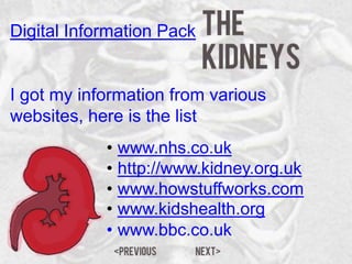 Kidneys Presentation | PPTX