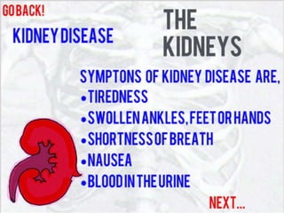 Kidneys Presentation | PPTX