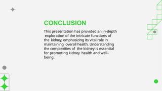 kidney and it's function presentation.pptx
