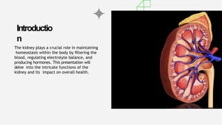 kidney and it's function presentation.pptx