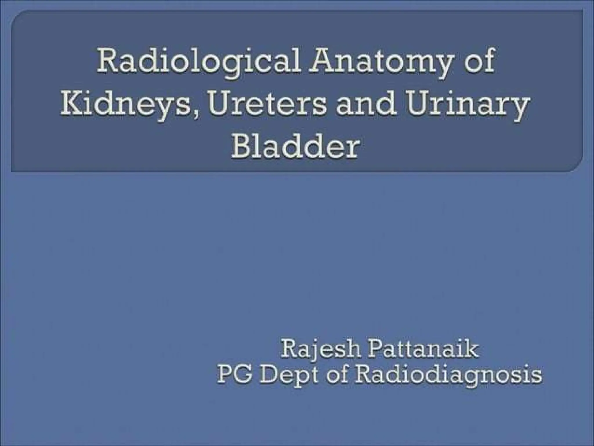 Kidney anatomy presentation and lower genitourinary system | PPT