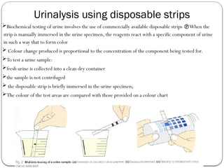 KIDNEY (RENAL) FUNCTIONS TESTS-PPT =anna.pptx