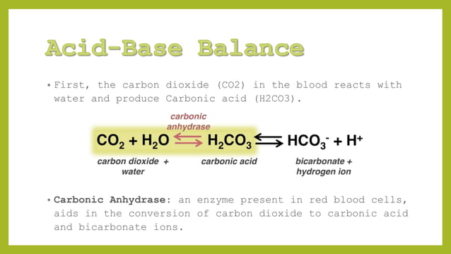 Medical Chemistry - Kidneys & Acid-Base Balance.pptx