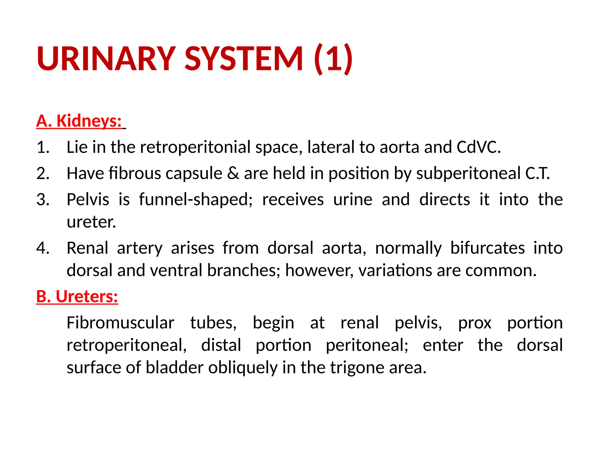 Kidneys and ureters small animal surgery.pptx