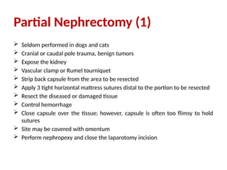 Kidneys and ureters small animal surgery.pptx