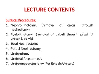 Kidneys and ureters small animal surgery.pptx | Free Download