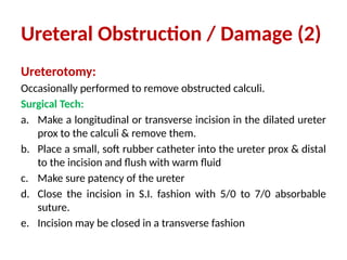 Kidneys and ureters small animal surgery.pptx