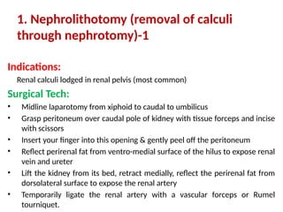 Kidneys and ureters small animal surgery.pptx