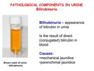 Kidneys CLINICAL biochemistry.ppt111111111 | PPT | Blood Disorders ...