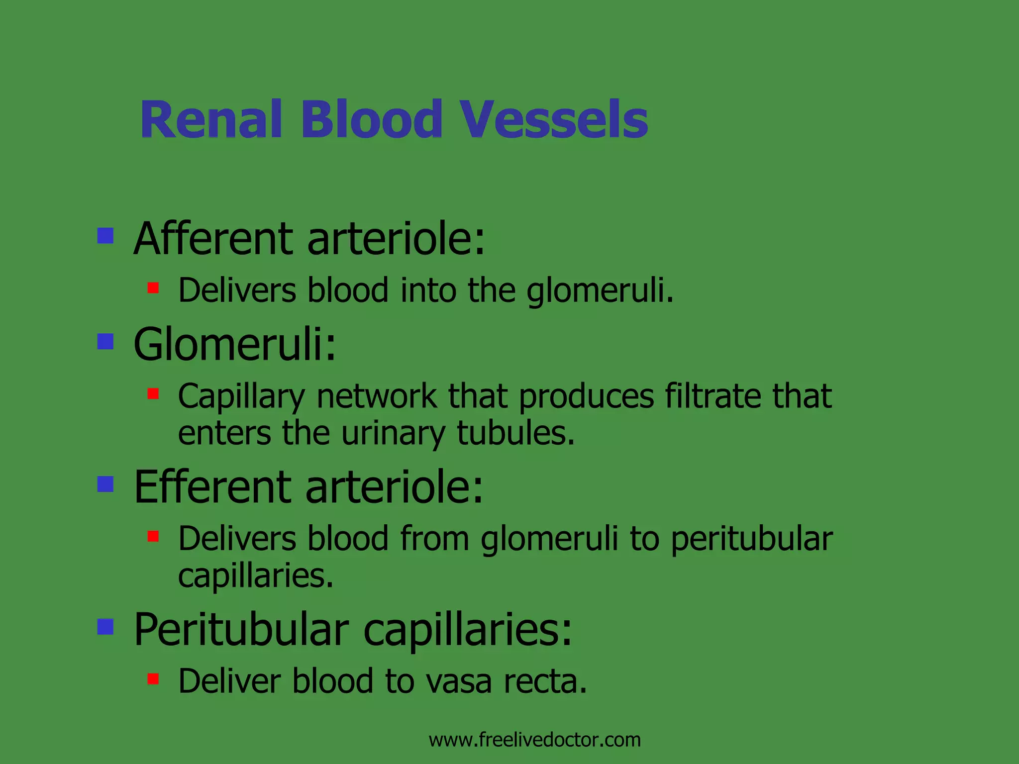 Kidneys& Its Function | PPT