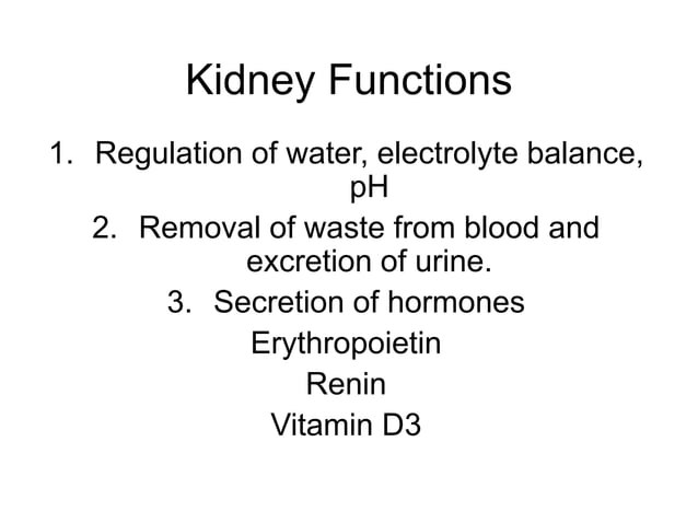 kidney functions SLIDES in details for refernece | PPT