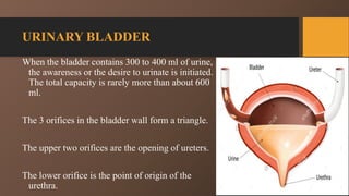 Ayurvedic Treatment of Kidney Stone | PPTX