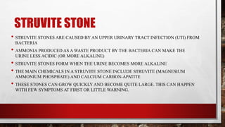 kidney stone.pptx