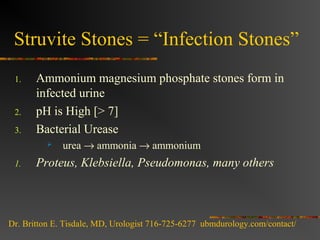 Kidney Stone Causes, Evaluation and Prevention | PPT