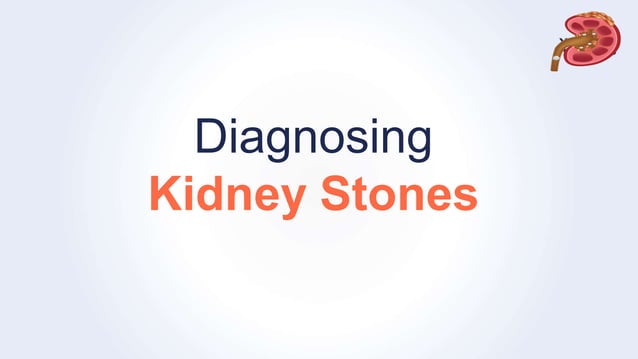 Kidney Stone Education for General - PPT English | PPTX | Digestive ...
