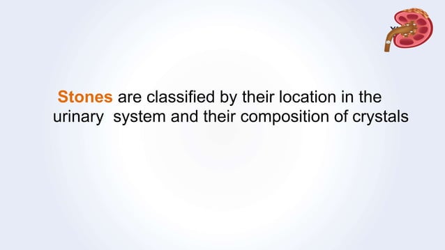 Kidney Stone Education for General - PPT English | PPTX | Digestive ...