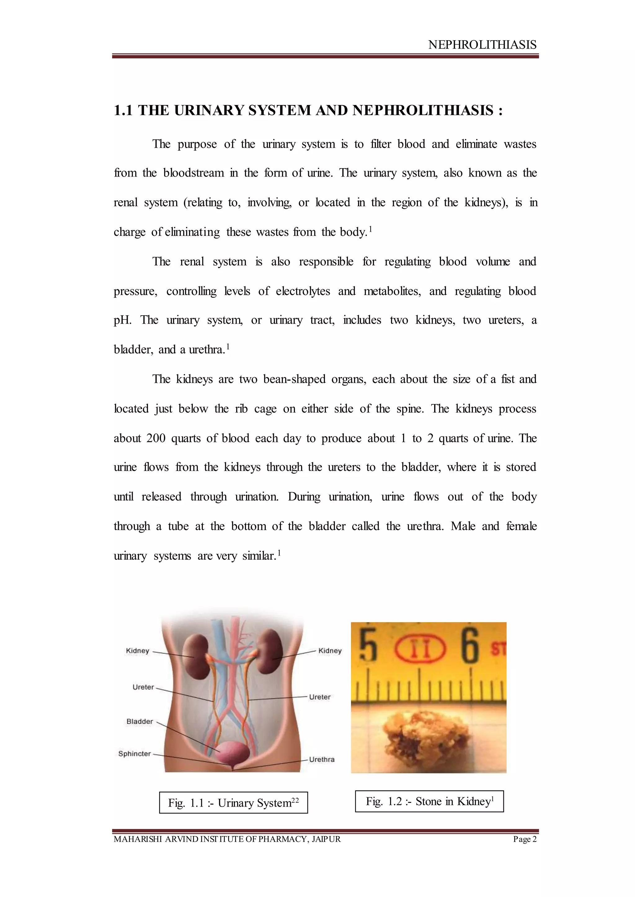 Kidney stone (nephrolithiasis) | DOCX