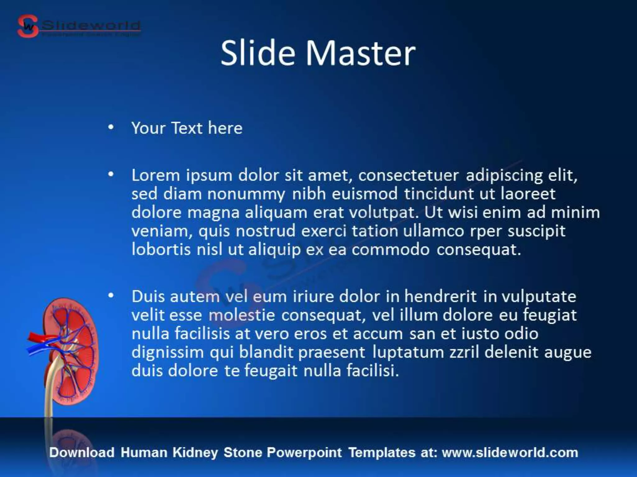 Human Kidney Stone Powerpoint Templates - SlideWorld | PPTX