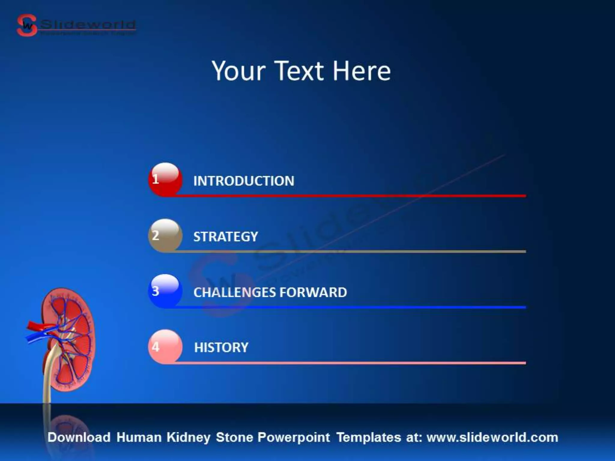 kidneystonepowerpointtemplates-slideworld-140704052405-phpapp02 (2).pdf