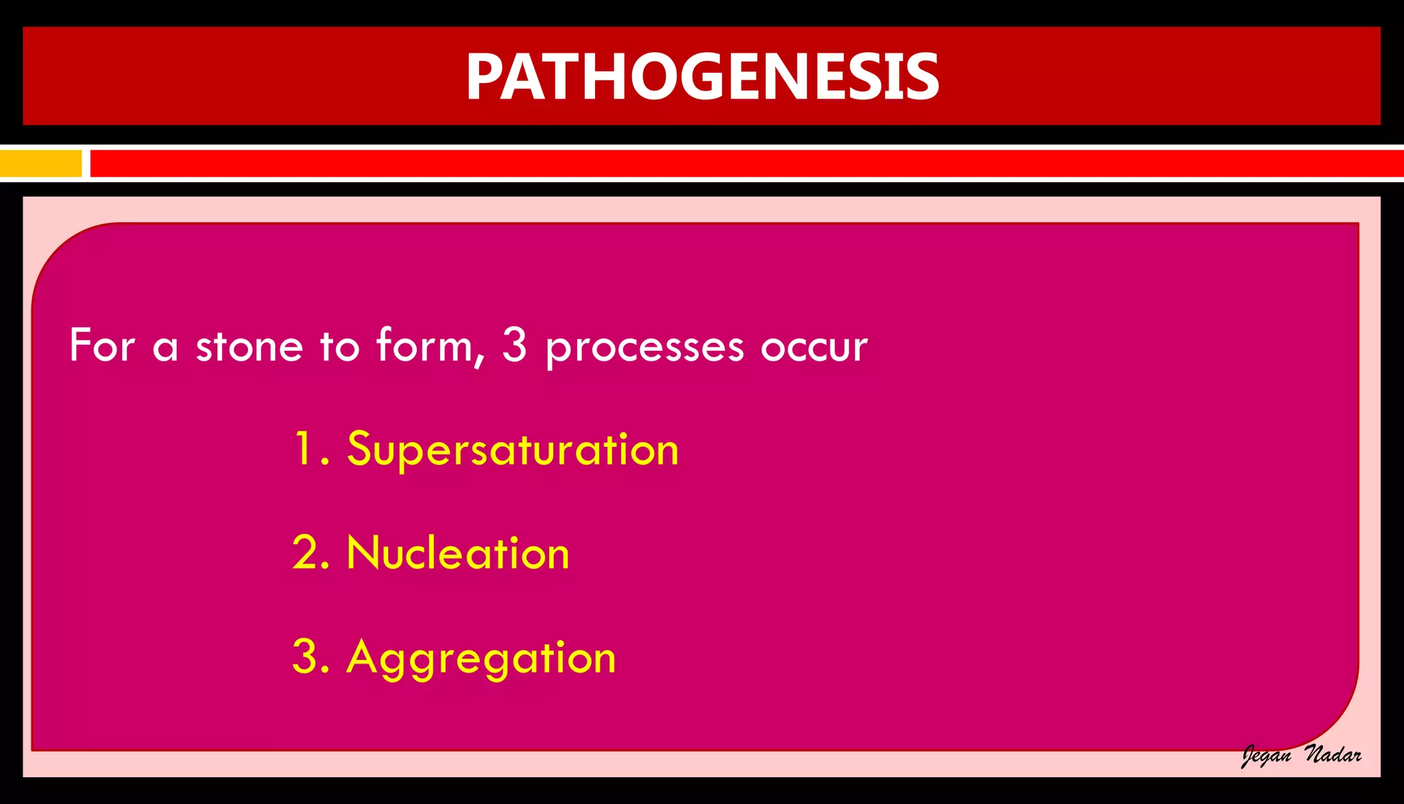 Pathophysiology of Kidney stones | PDF