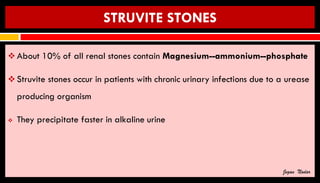 Pathophysiology of Kidney stones | PDF