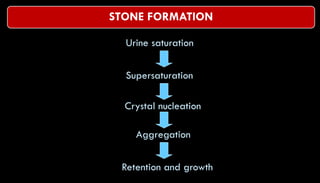 Pathophysiology of Kidney stones | PDF