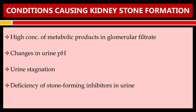 Pathophysiology of Kidney stones