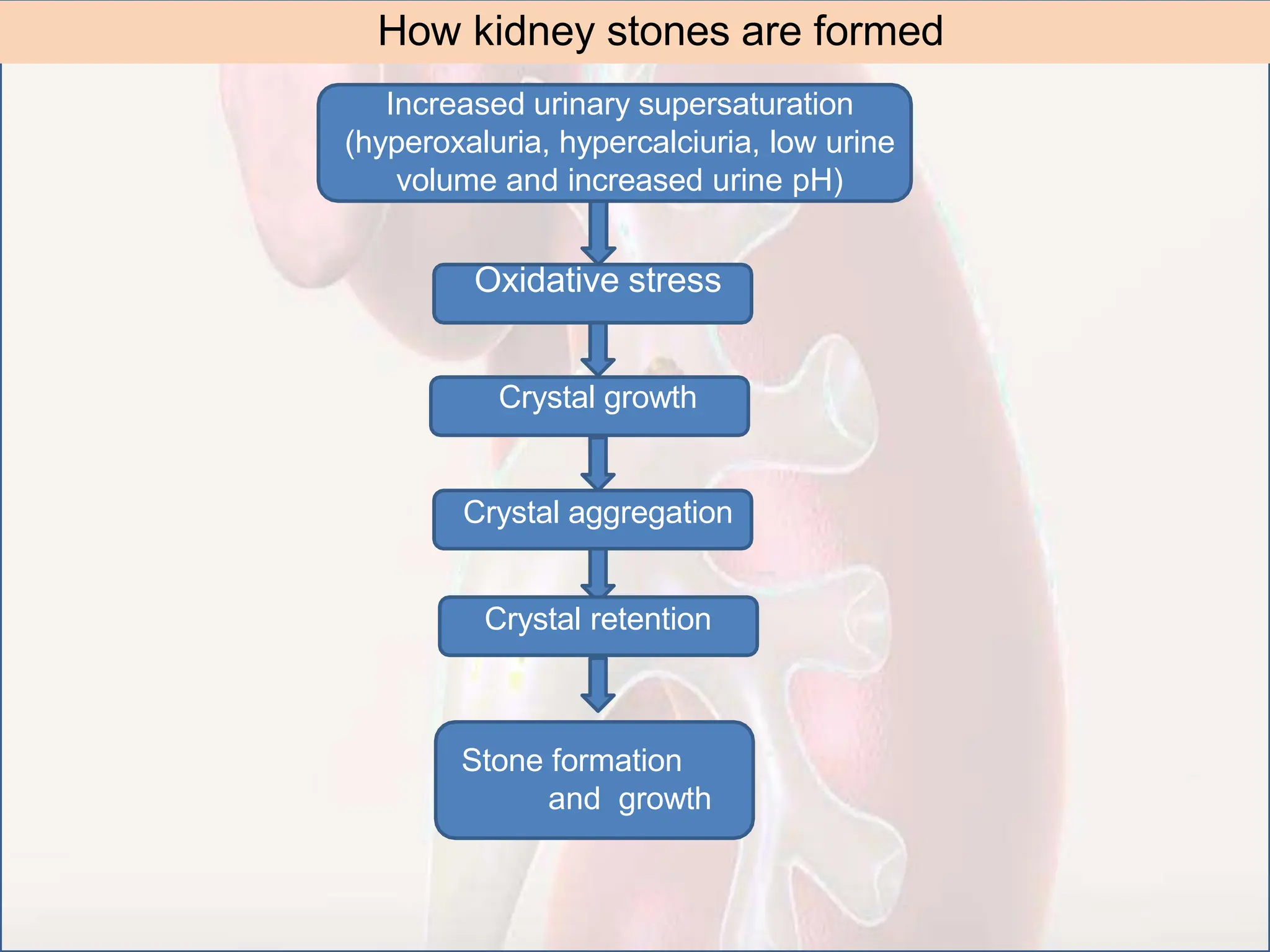 kidney stones types, complications, symptoms | PPTX