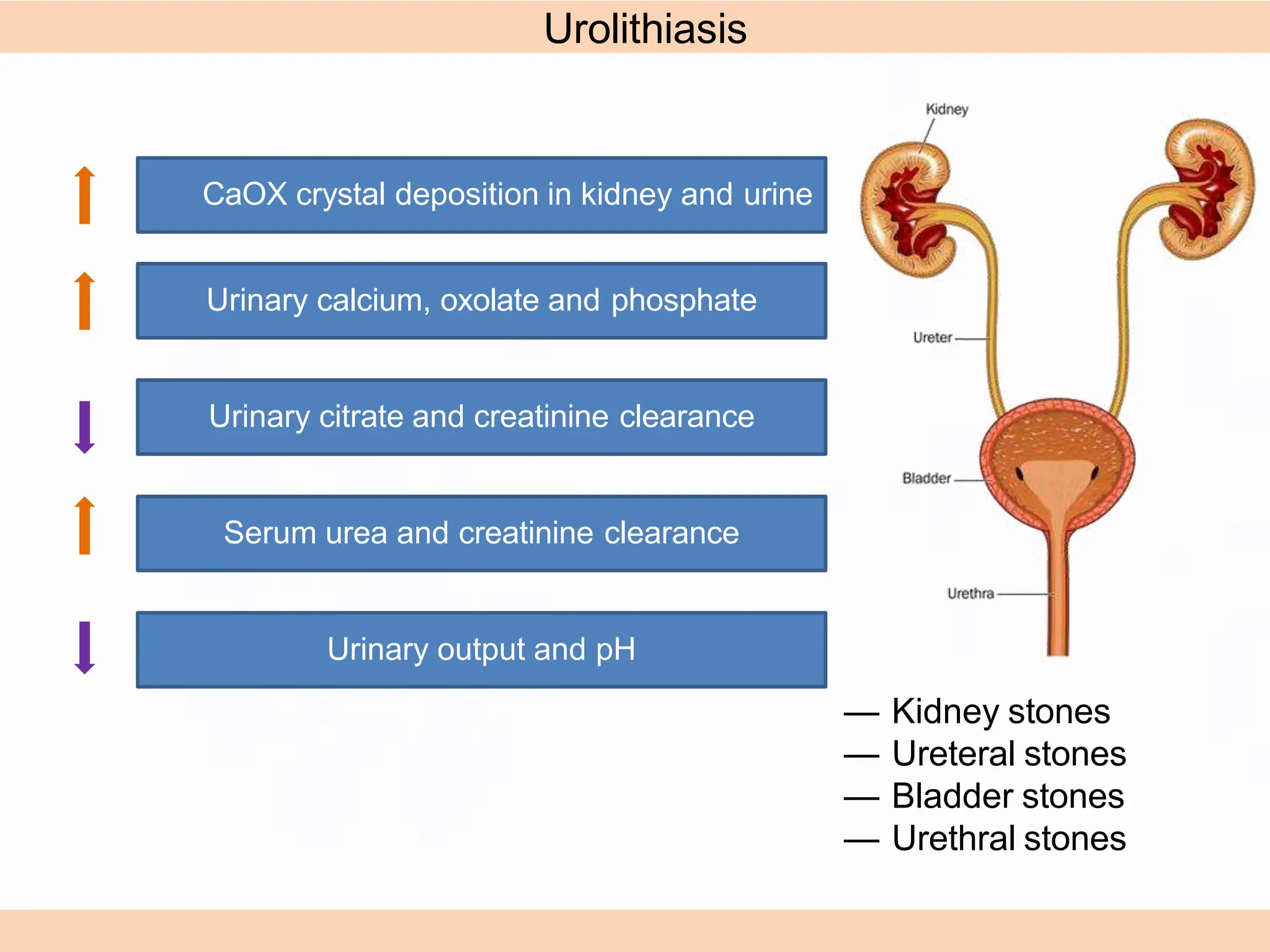 kidney stones types, complications, symptoms | PPTX
