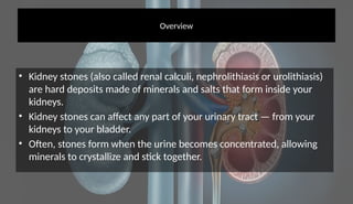 kidney stones introduction and patho.pptx