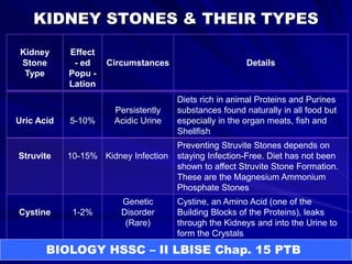 Kidney Stones HSSC II LBISE Chap. 15 | PPT